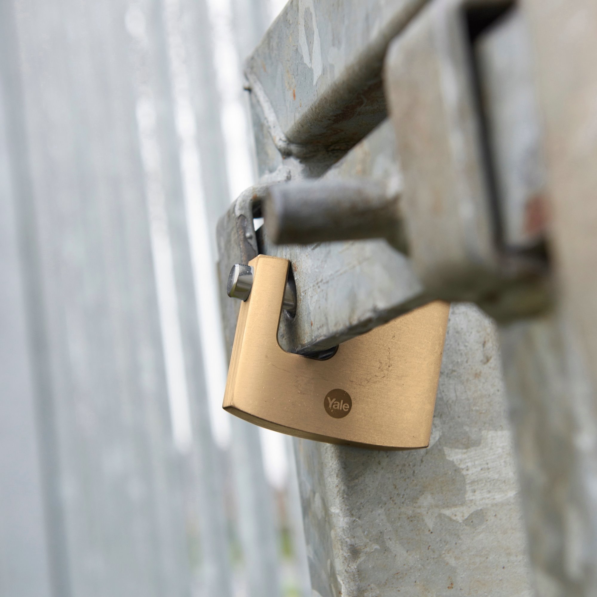 Brass Shutter Padlocks | Yale